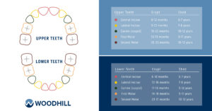 Delayed Tooth Eruption: What To Expect • Pediatric Dentistry